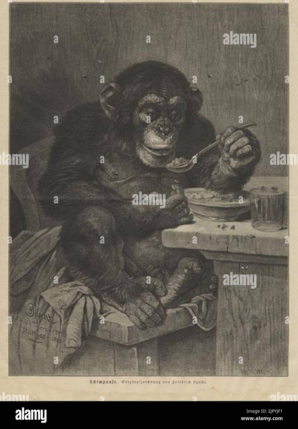 Tiergarten nill hi-res stock photography and images - Alamy