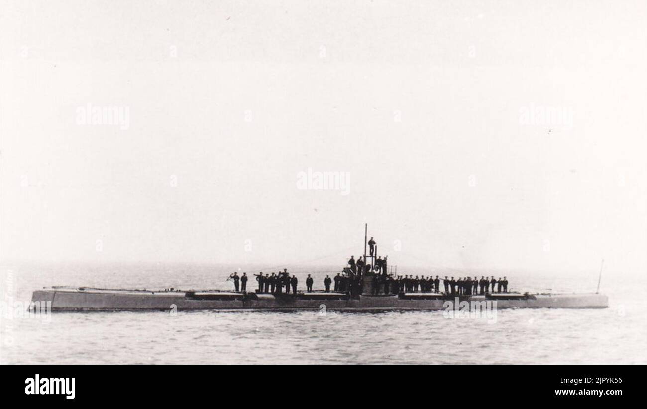 Tigr hi-res stock photography and images - Alamy