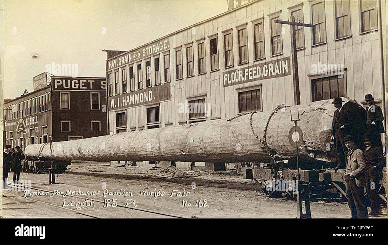 Timber for the construction of the Mechanics Pavilion at the Chicago ...