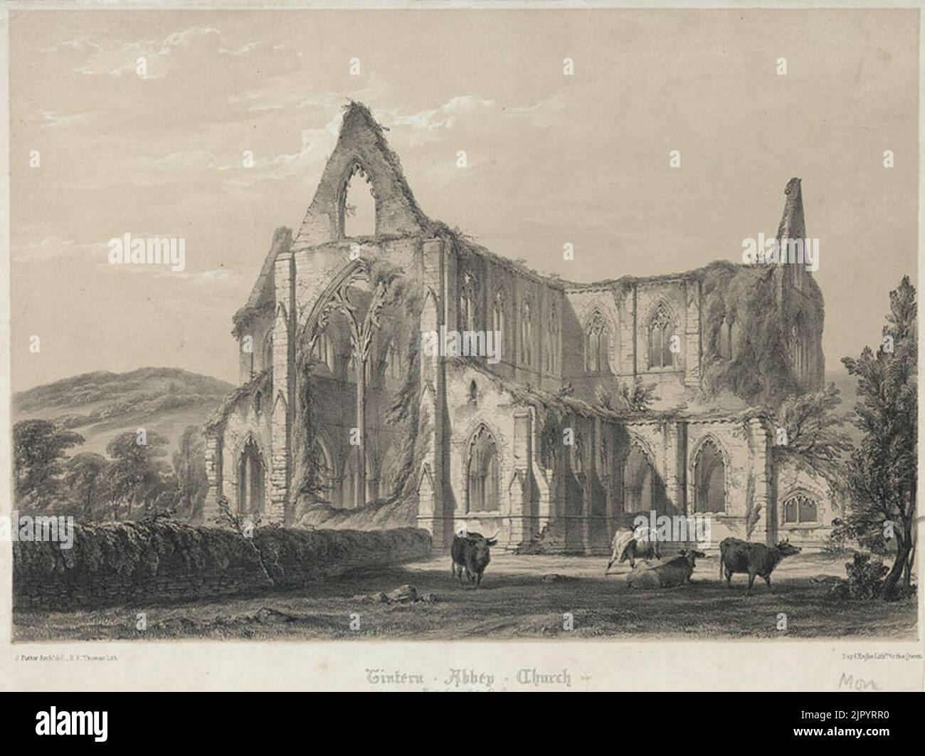 Tintern Abbey Church. View from the N.E Stock Photo - Alamy