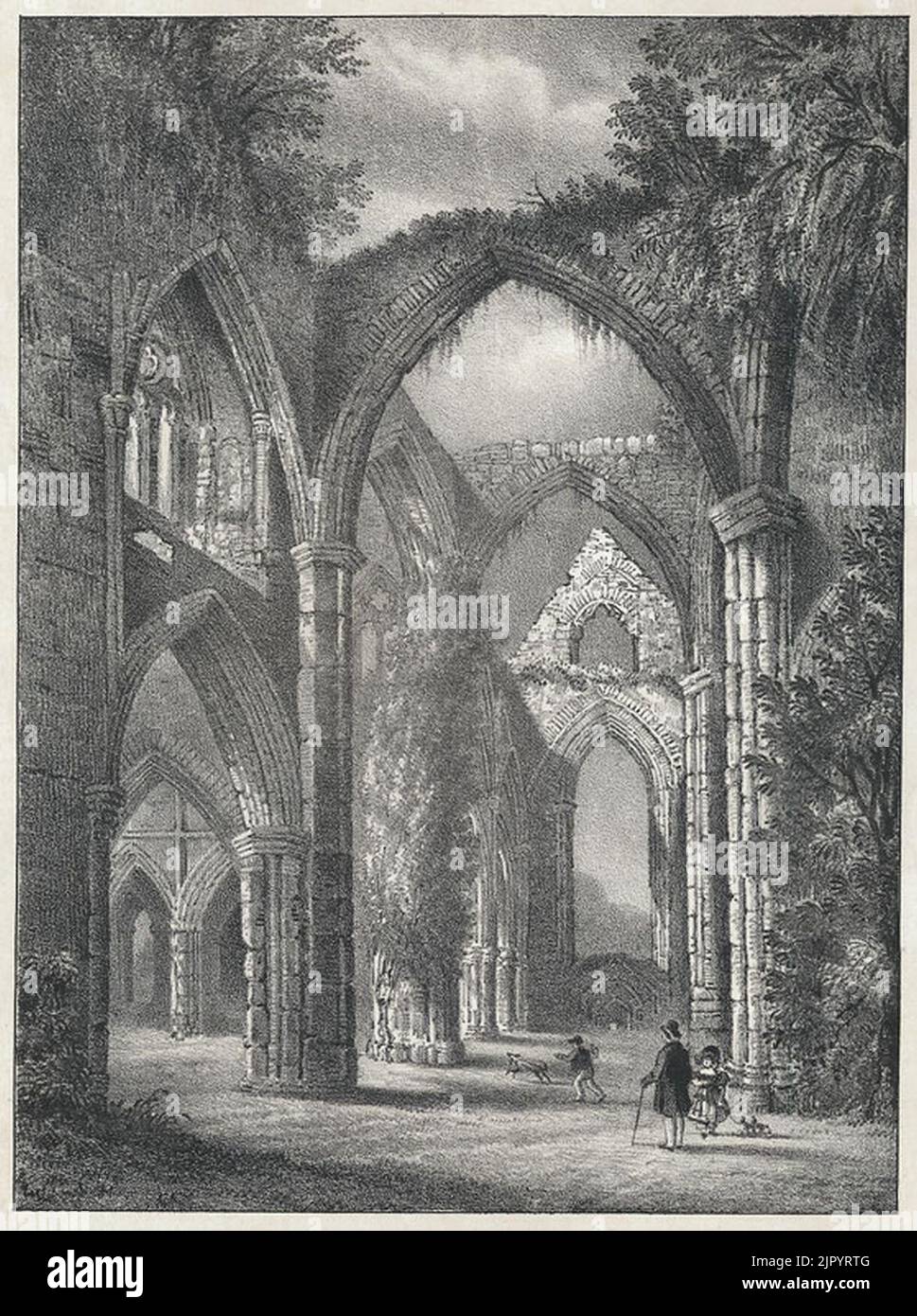 Tintern Abbey. South Window Stock Photo - Alamy