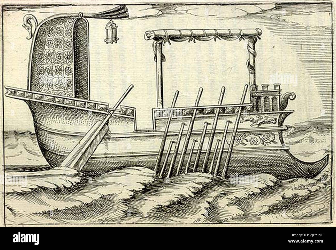 Tiphys Batavus (image Stock Photo - Alamy