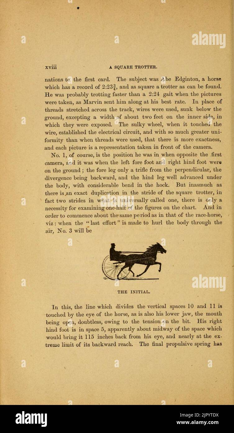 Tips and toe-weights Stock Photo - Alamy