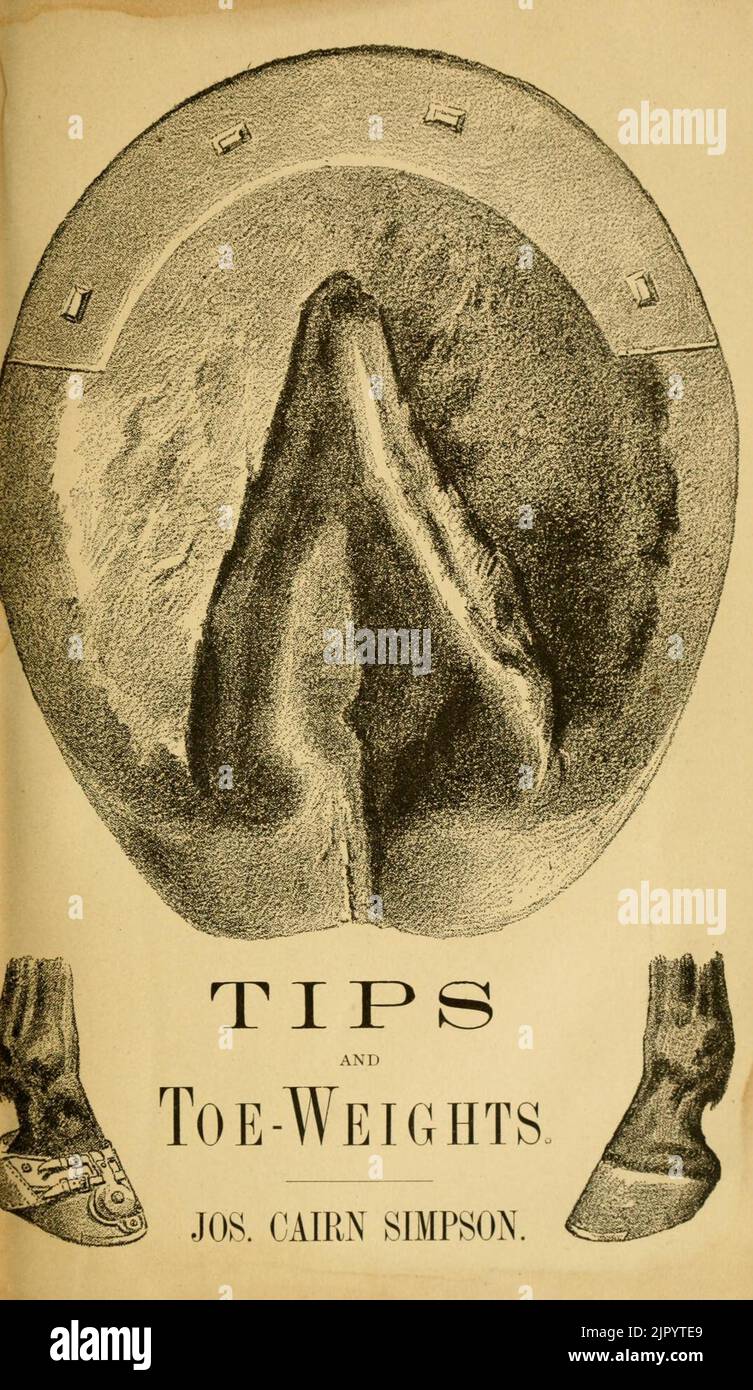 Tips and toe-weights Stock Photo - Alamy