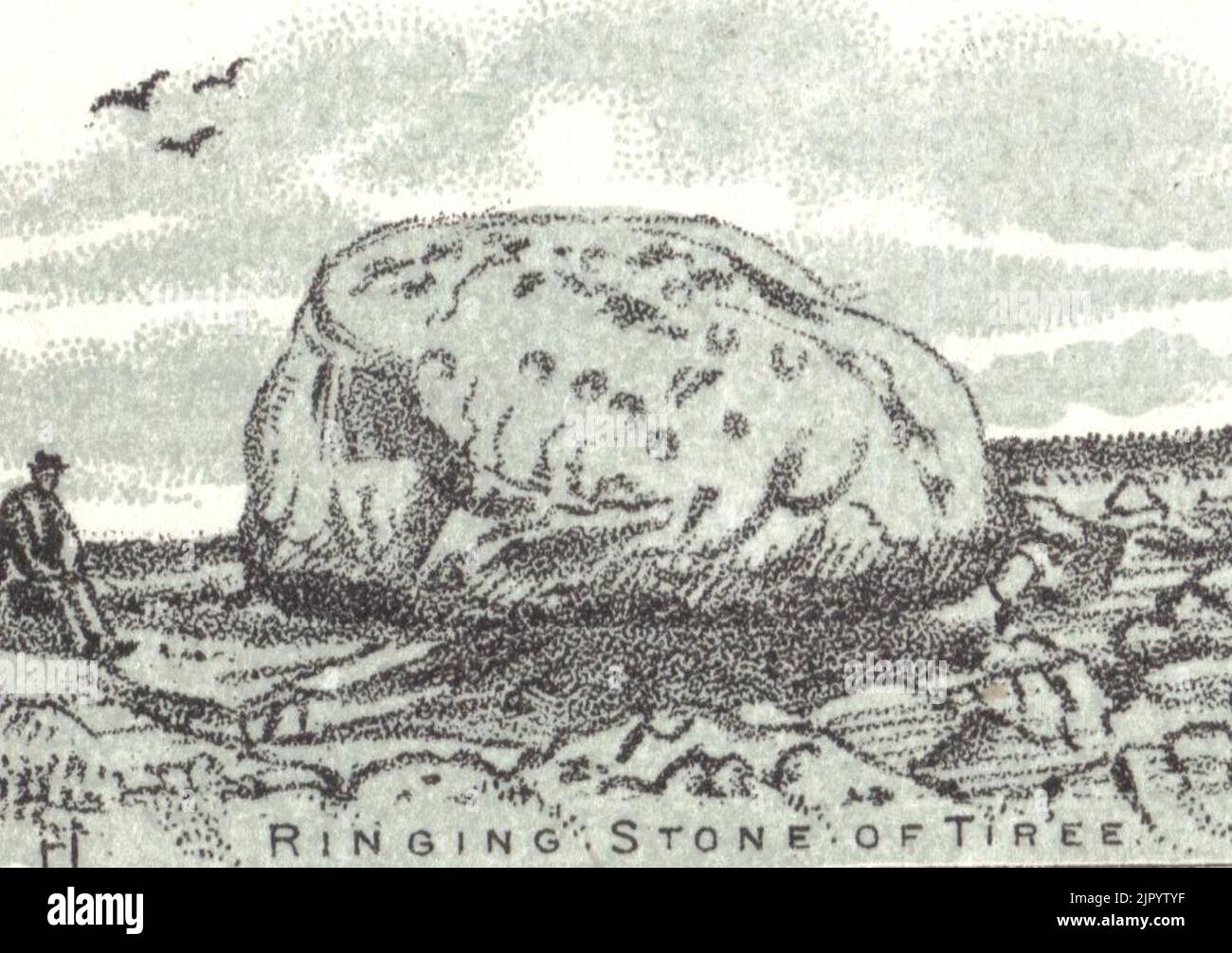 Tiree ringing stone Stock Photo - Alamy