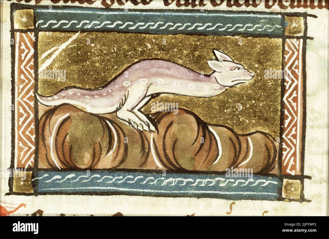 Tisus - Der naturen bloeme - Jacob van Maerlant - KB KA 16 - 127v a1 Stock Photo - Alamy