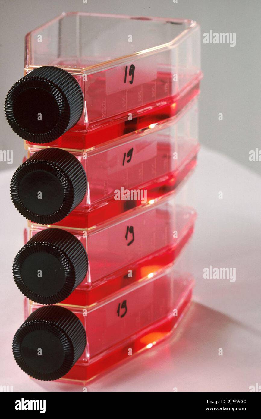 Tissue culture vials nci-vol-2142-300 Stock Photo - Alamy