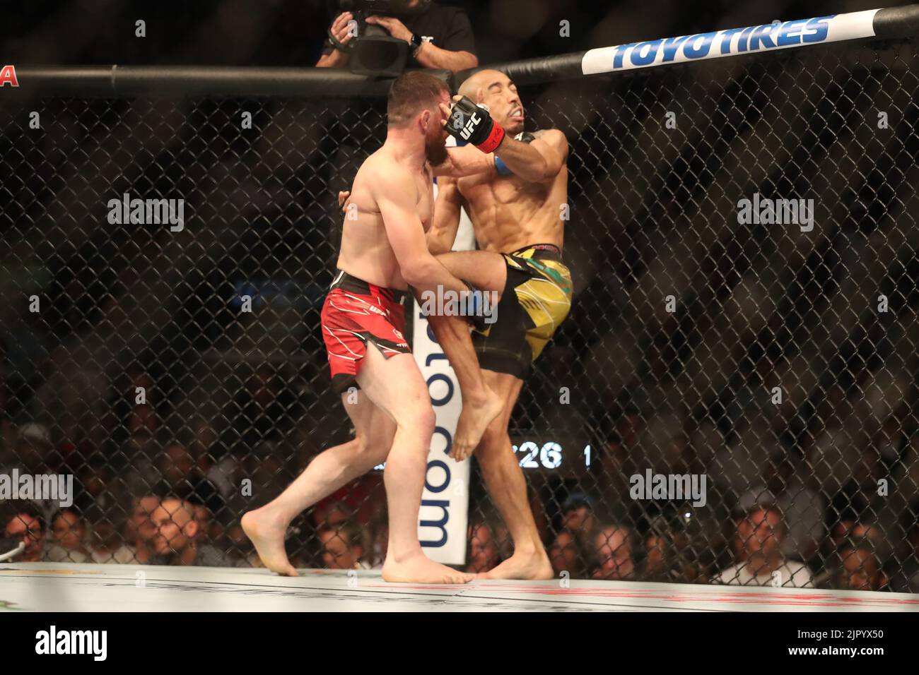 Utah ufc hi-res stock photography and images - Alamy