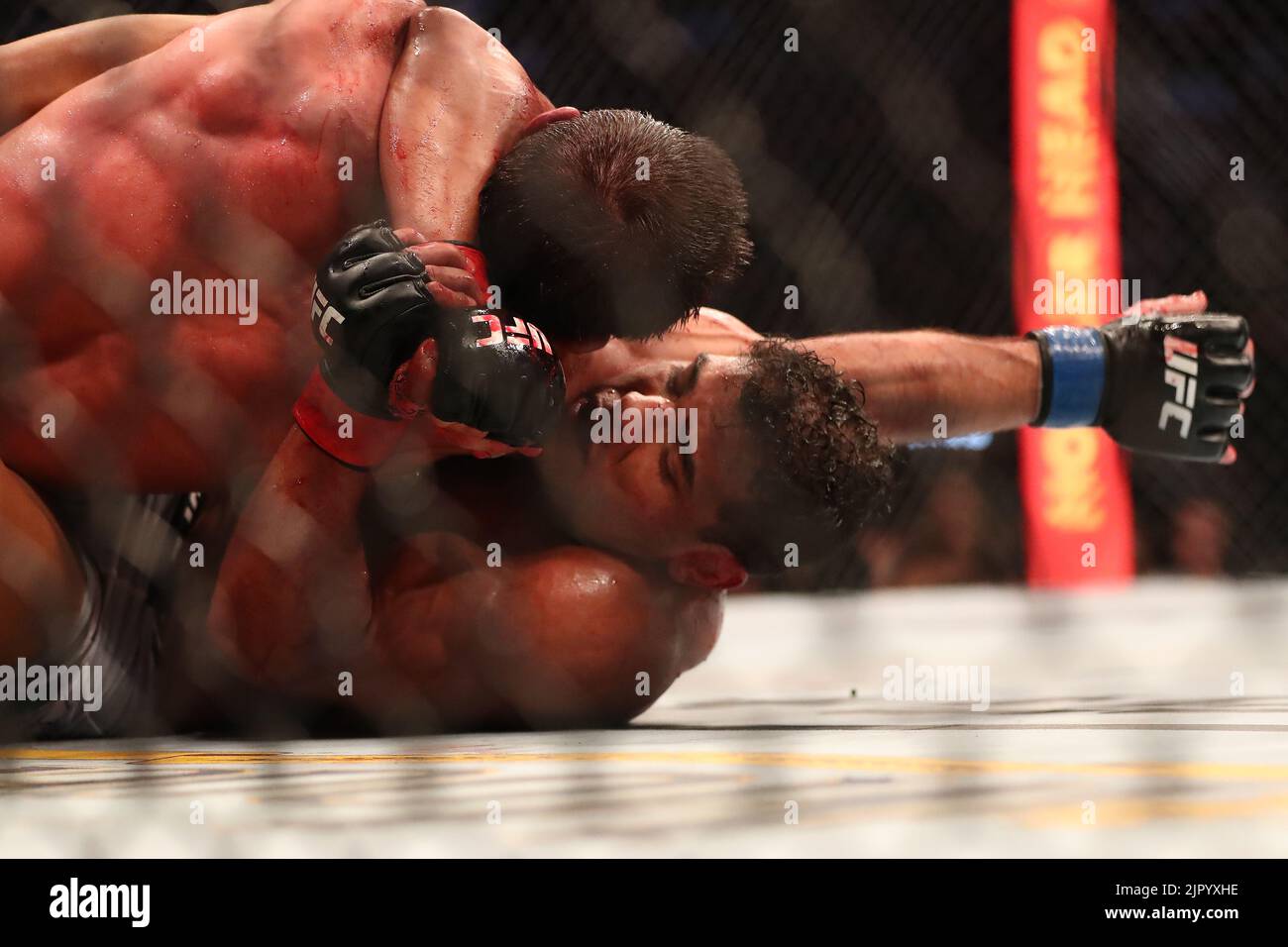 Utah ufc hi-res stock photography and images - Alamy