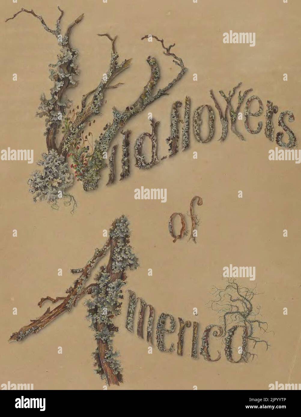 Watercolor album hi-res stock photography and images - Alamy