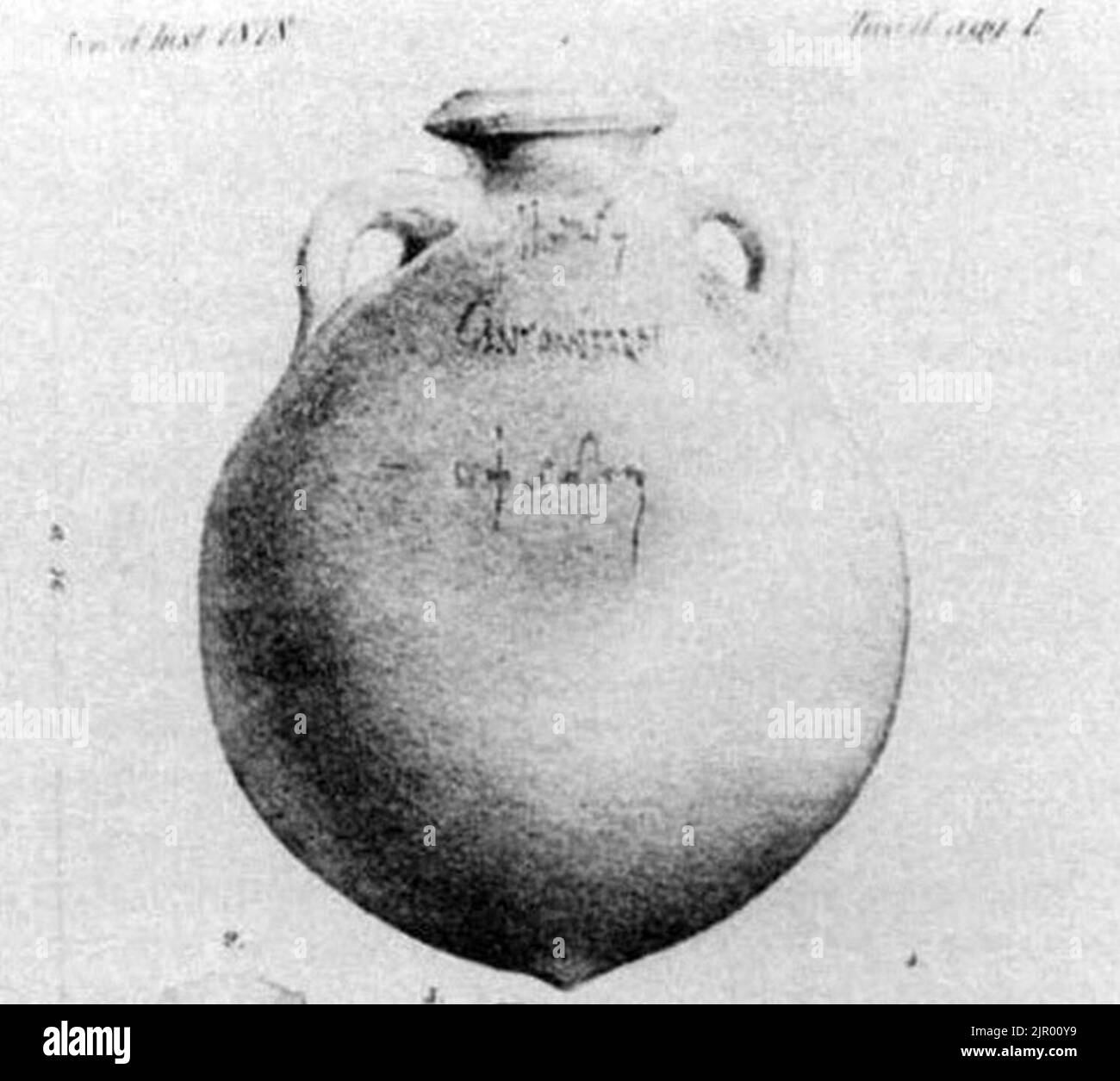 Tituli picti dressel20 Stock Photo - Alamy