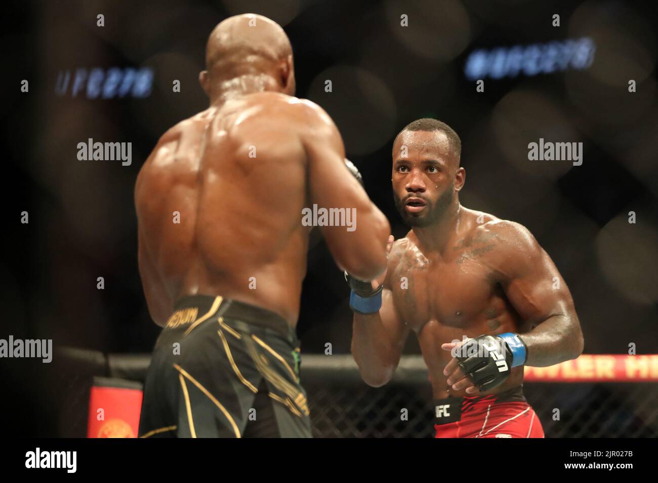 Leon edwards champion hi-res stock photography and images - Alamy