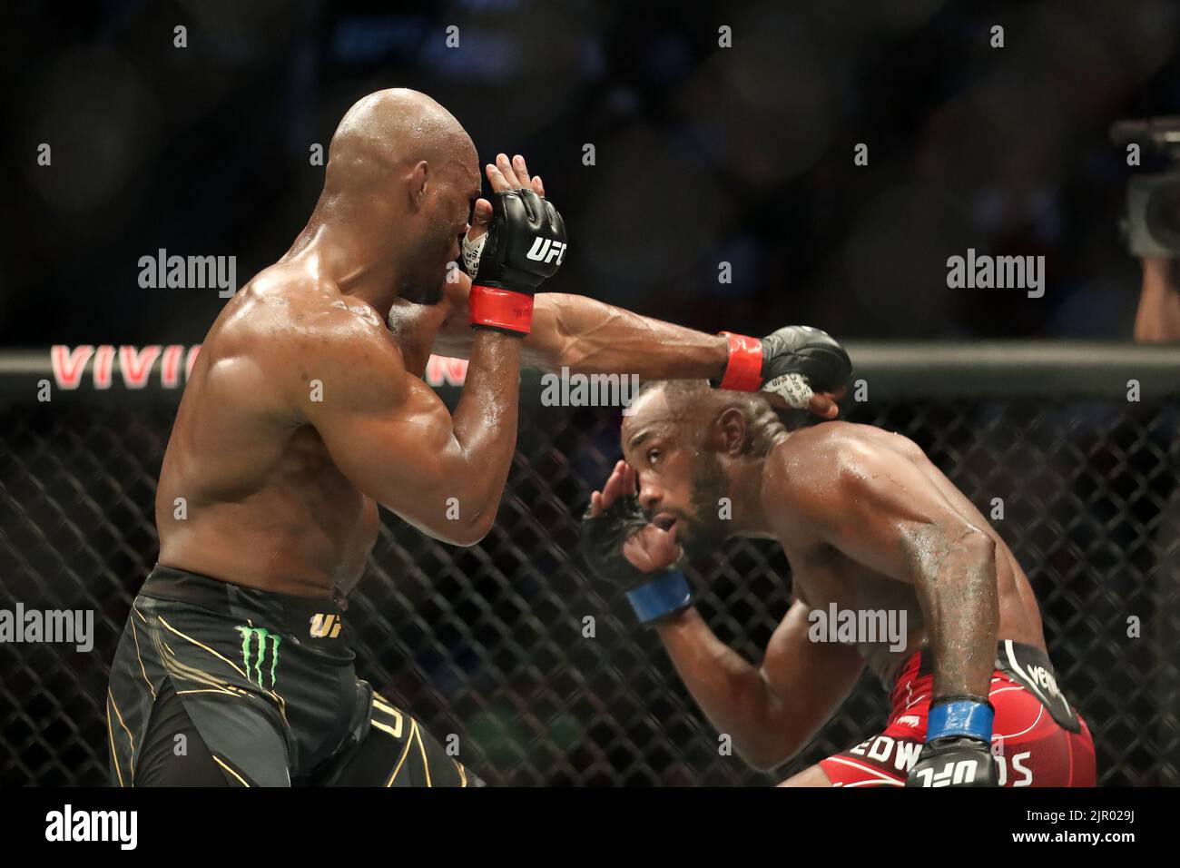 Salt Lake City, United States. 20th Aug, 2022. SALT LAKE CITY, UT ...