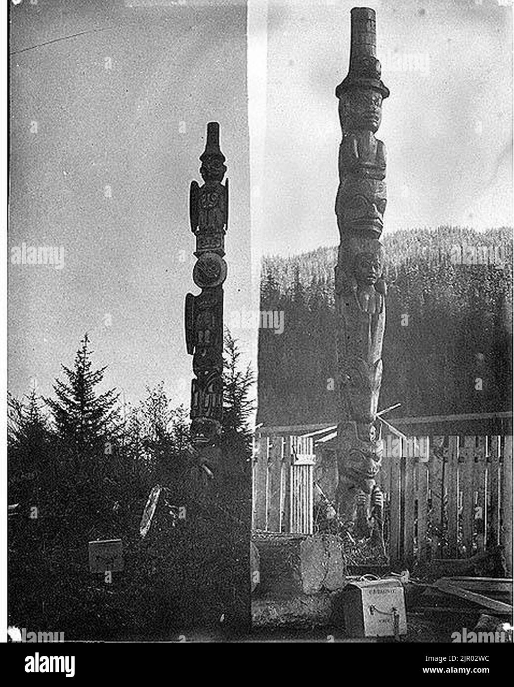 Tlingit totem poles, Fort Wrangell, 1901 (SARVANT 170 Stock Photo - Alamy