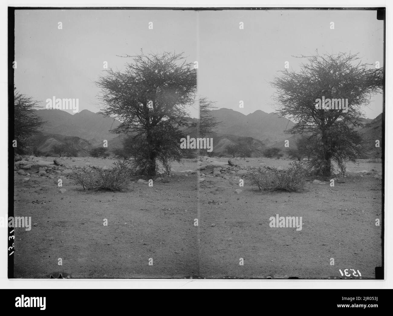 Sinai via hi-res stock photography and images - Alamy