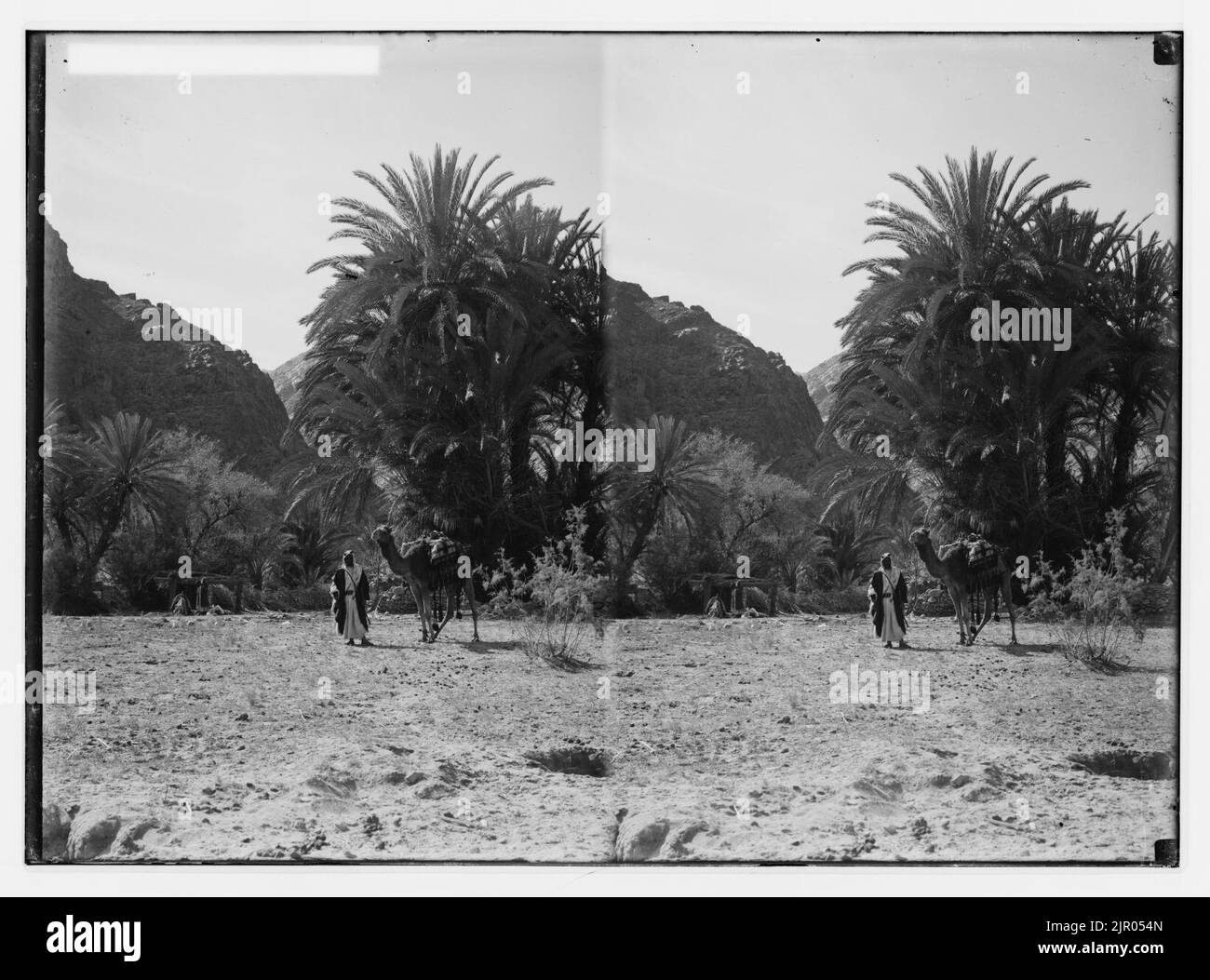 To Sinai via the desert. Scene in Wady Feiran Stock Photo - Alamy