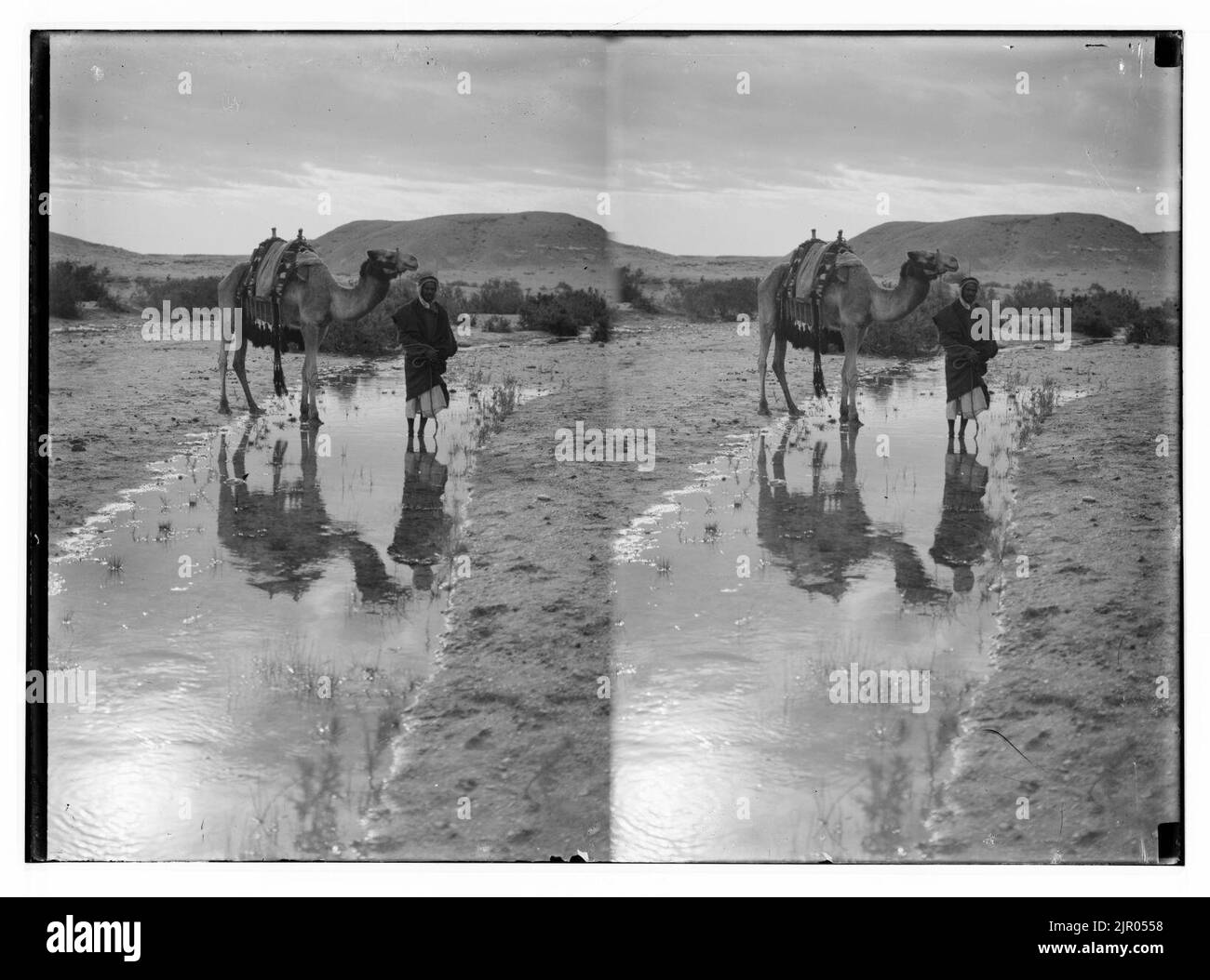 To Sinai via the desert. Rivulet of Wady Gharandel Stock Photo - Alamy