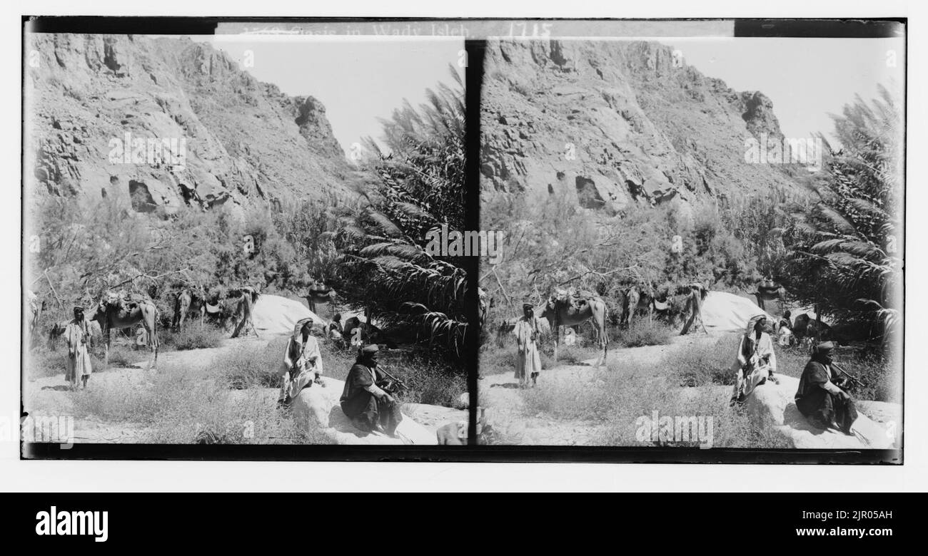 To Sinai via the Red Sea, Tor, and Wady Hebran. Oasis in Wady Isleh ...