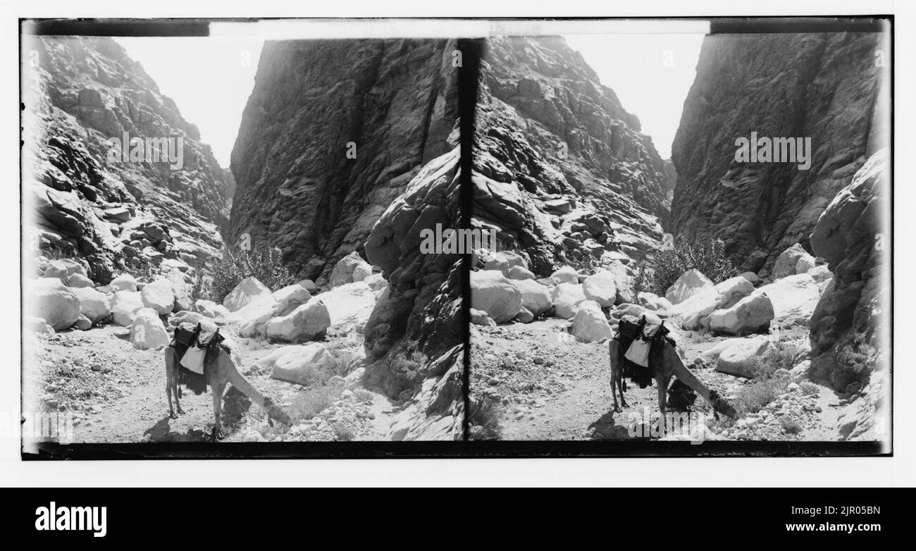 To Sinai via the Red Sea, Tor, and Wady Hebran. Ravine in Wady Isleh ...