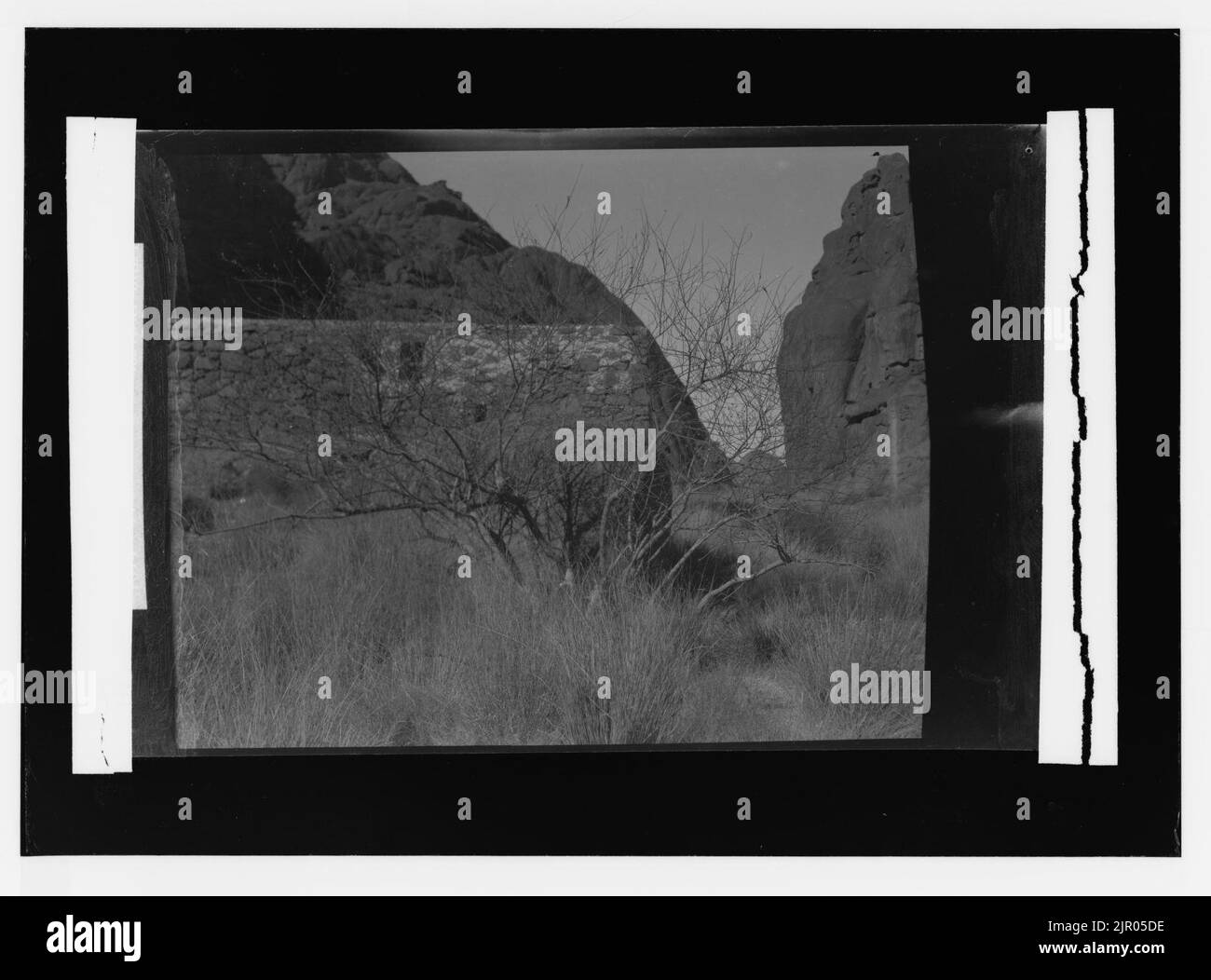 To Sinai via the Red Sea, Tor, and Wady Hebran. The willow of Ras ...