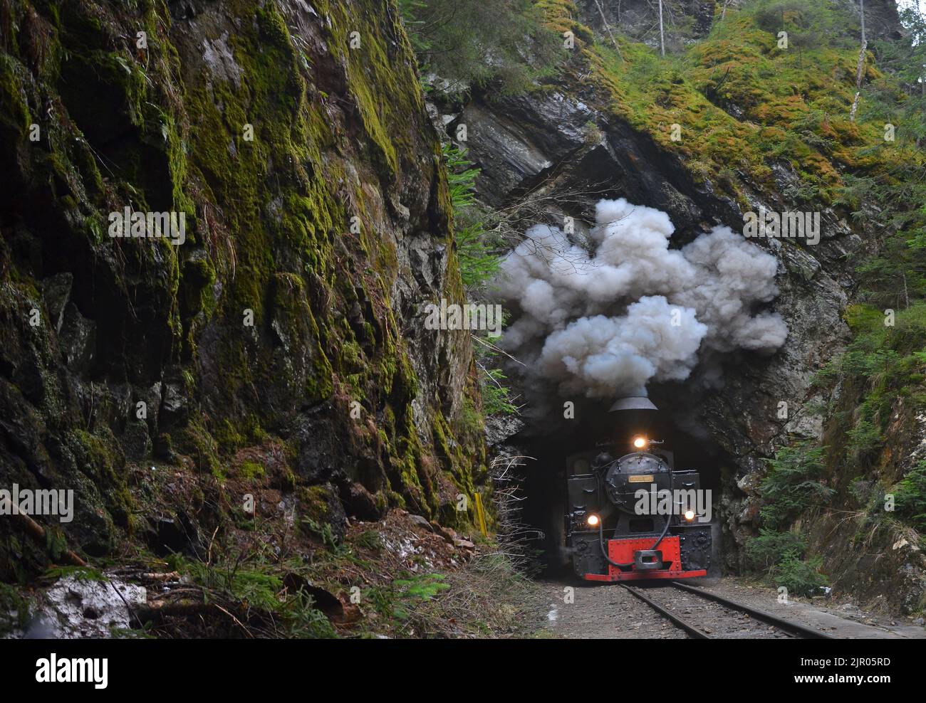 A steam train passing through a cave in a forest of Viseu de Sus ...