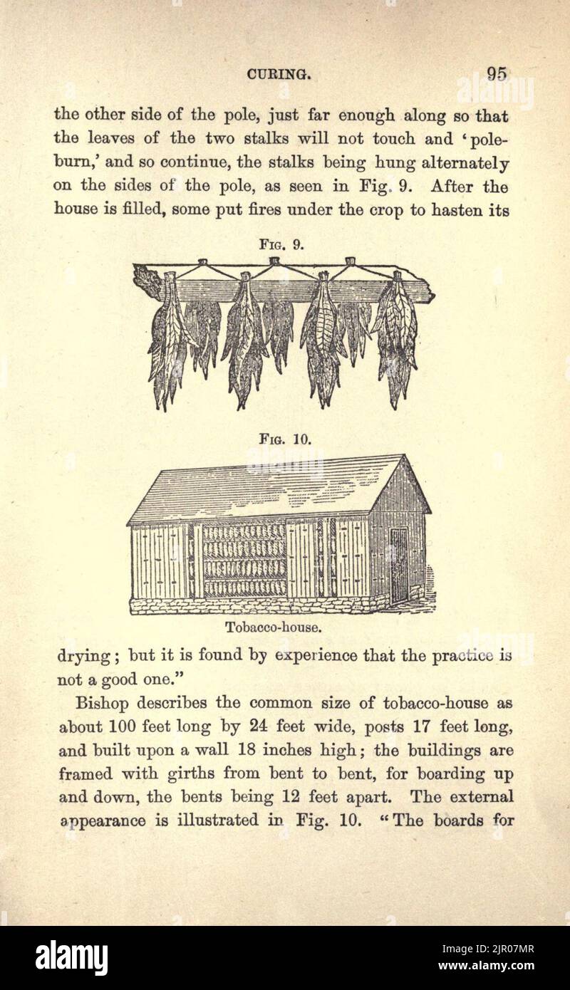 Tobacco growing curing hi-res stock photography and images - Alamy