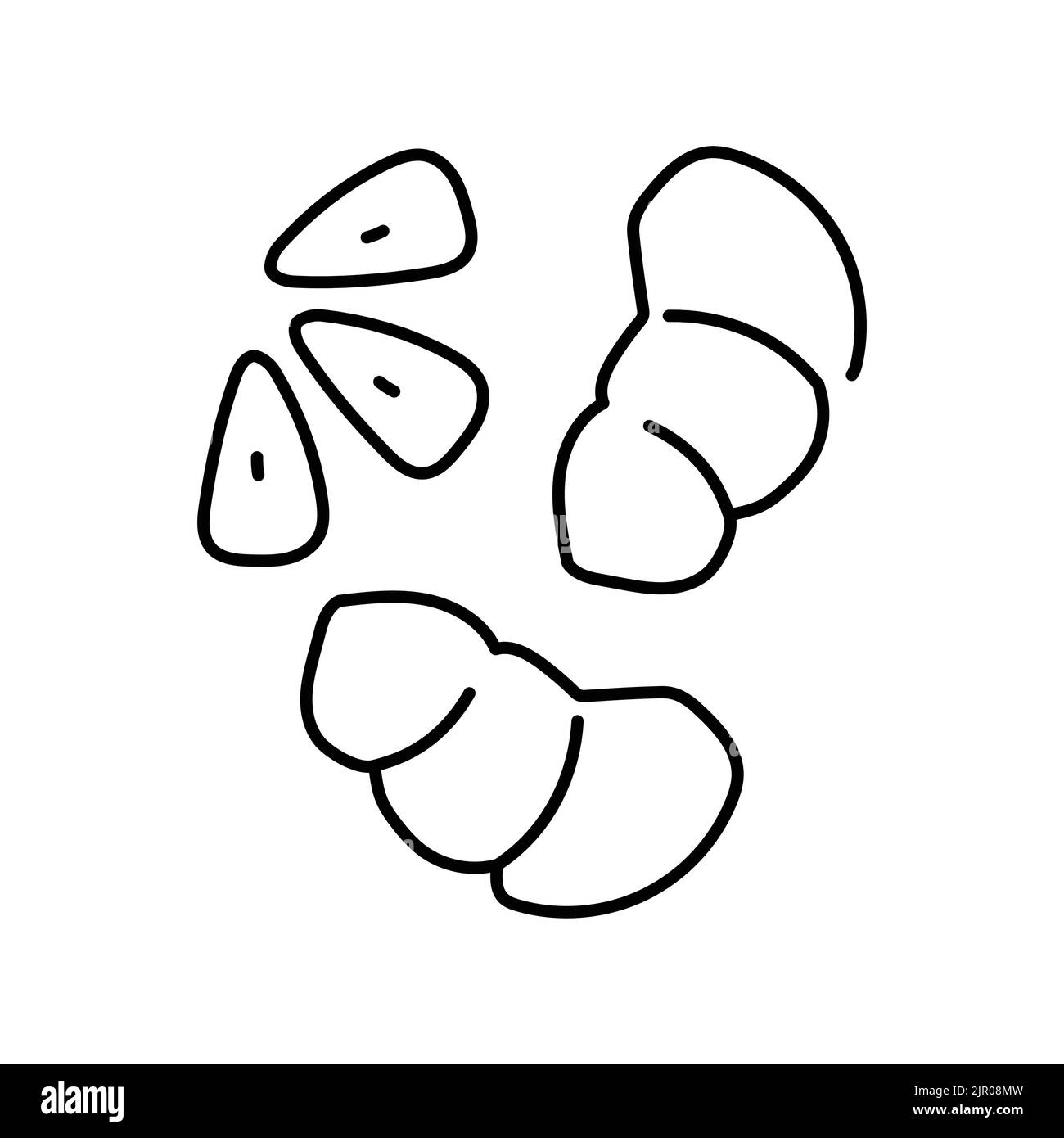 Chopped garlic color line icon. Natural vegetable Stock Vector Image ...