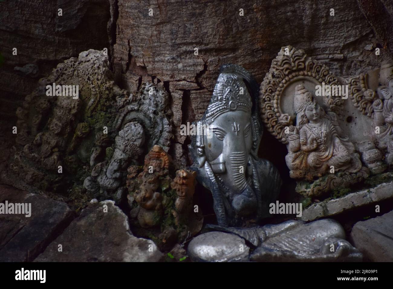 Idols of Hindu gods under a tree Stock Photo - Alamy