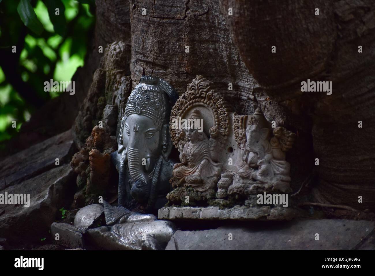 Idols of Hindu gods under a tree Stock Photo - Alamy