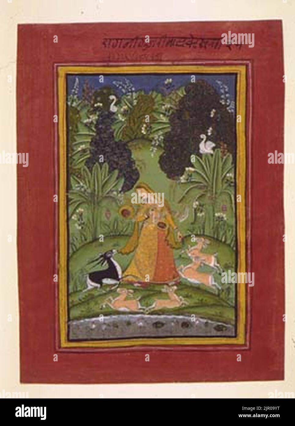 Todi ragini hi-res stock photography and images - Alamy