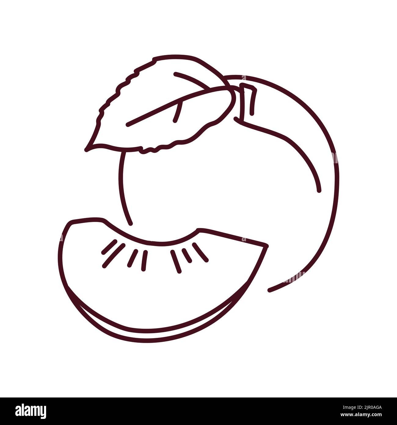 Plum and half color line icon. Pictogram for web page Stock Vector ...