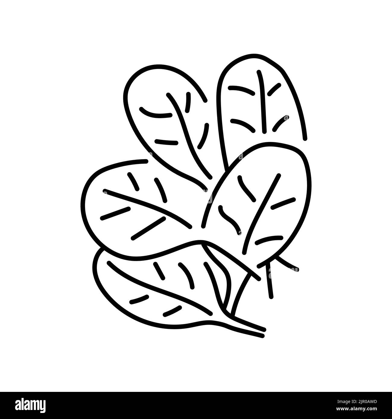 Spinach leaf color line icon. Natural vegetable Stock Vector Image ...