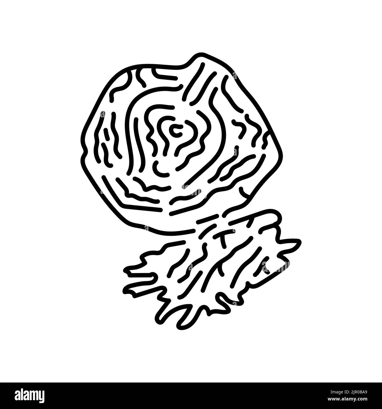 Cabbage color line icon. Natural vegetable Stock Vector Image & Art - Alamy