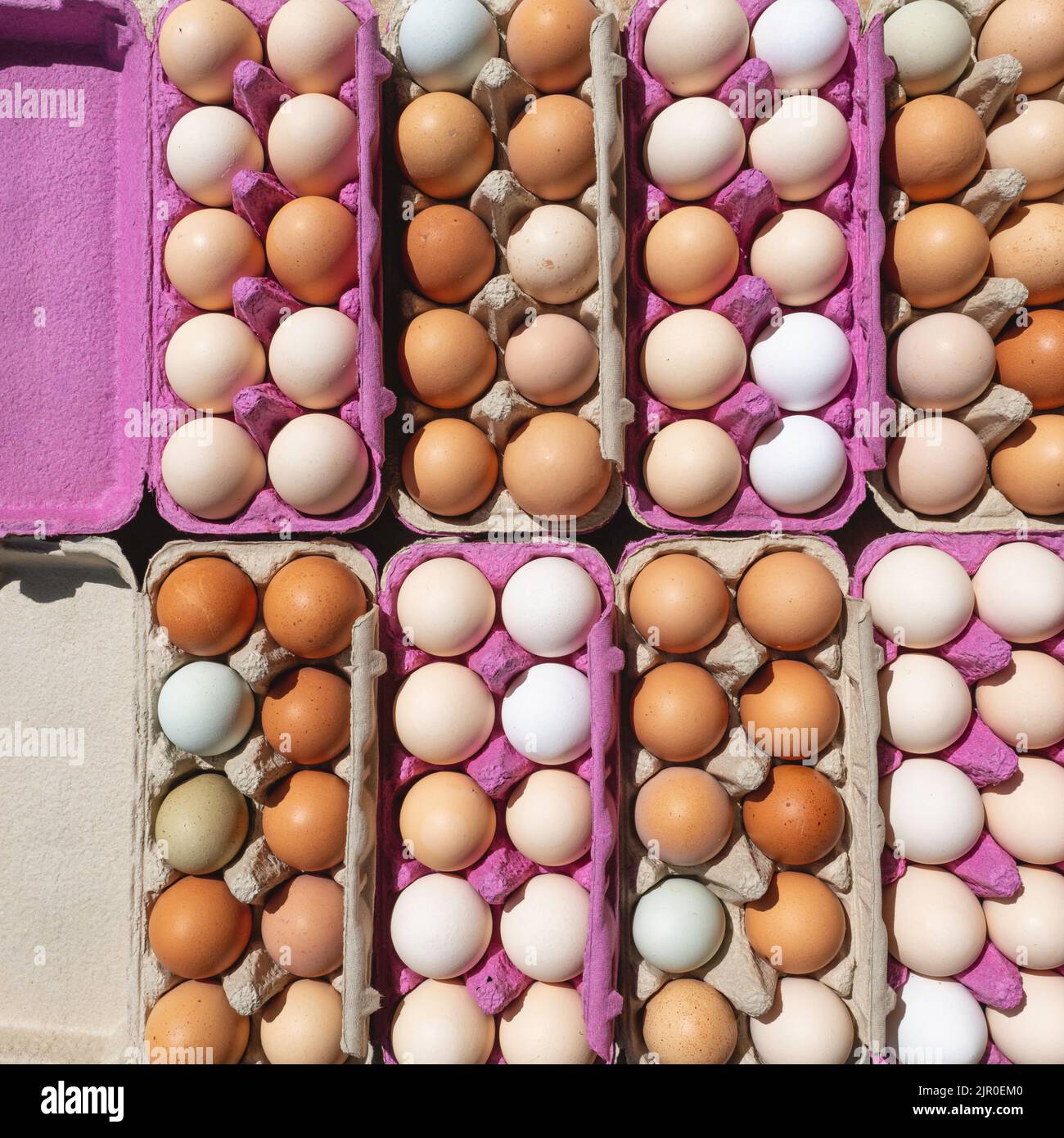 Open egg box with fresh organic colorful eggs in carton packs Stock ...
