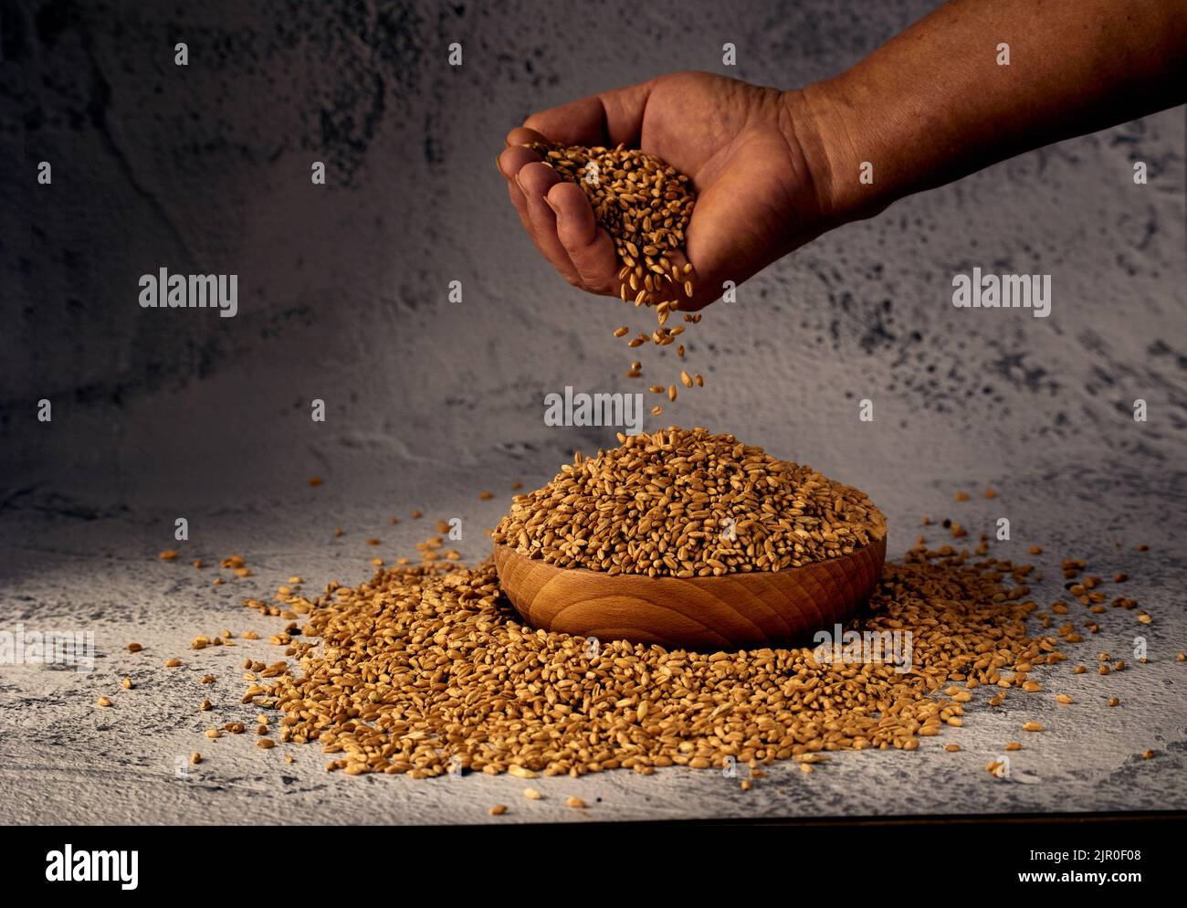 Grains of wheat fall from the palm of your hand into a wooden bowl full ...