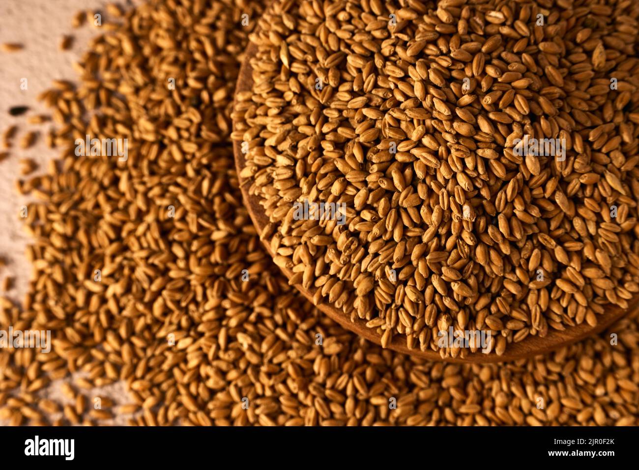 Macro photo of the top a mountain of wheat grains in a wooden bowl ...