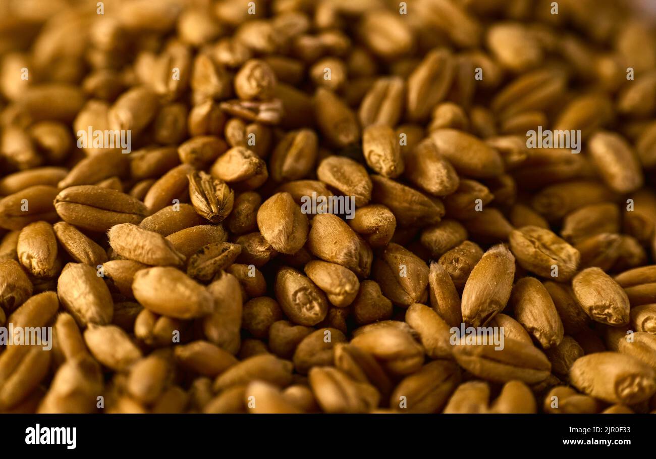 Mountain of grains hi-res stock photography and images - Alamy