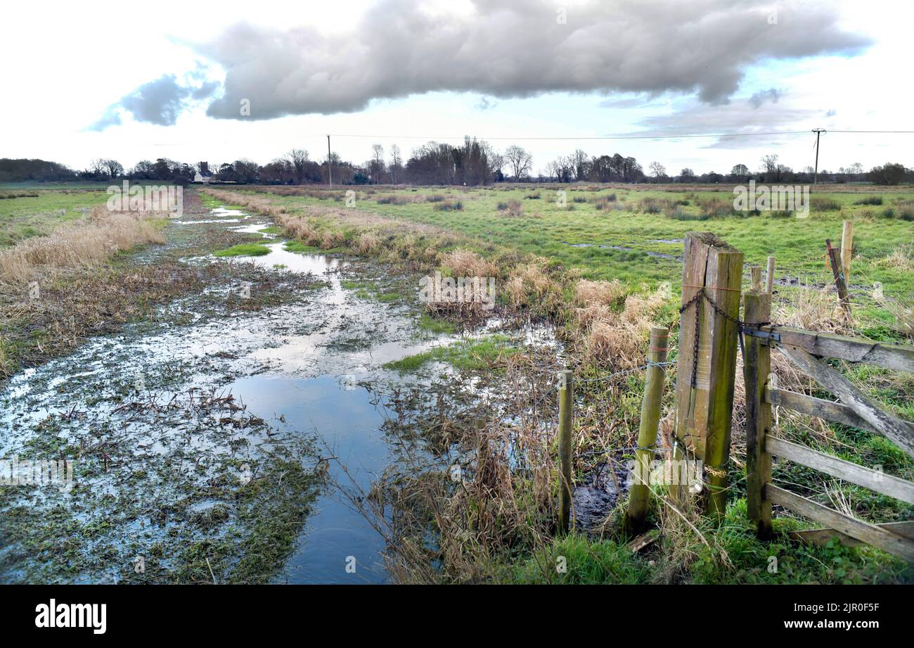 view across waveney valley marshes at ellingham norfolk england Stock ...