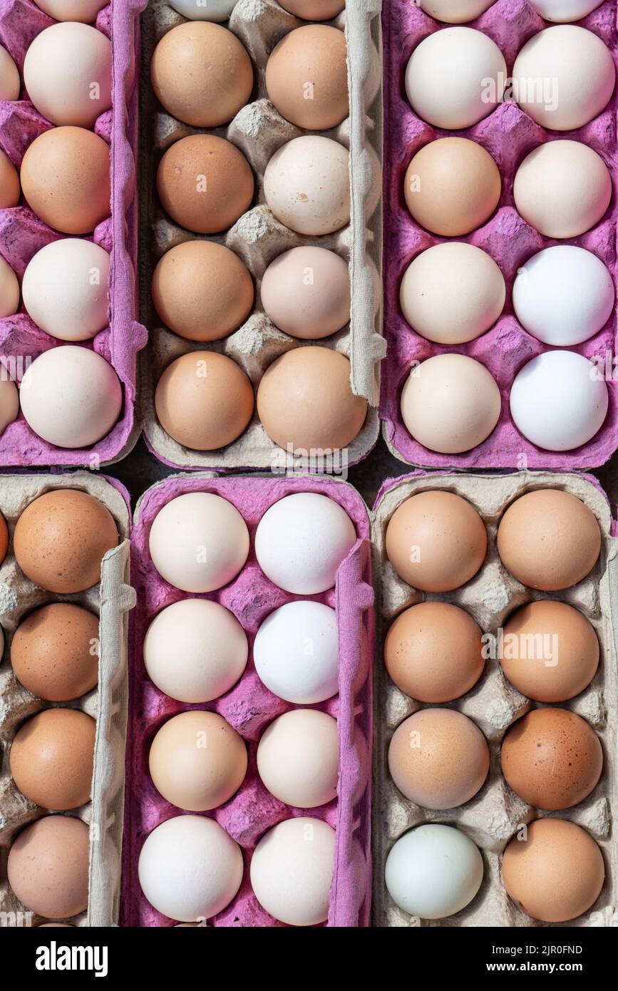 Open egg box with fresh organic colorful eggs in carton packs Stock ...