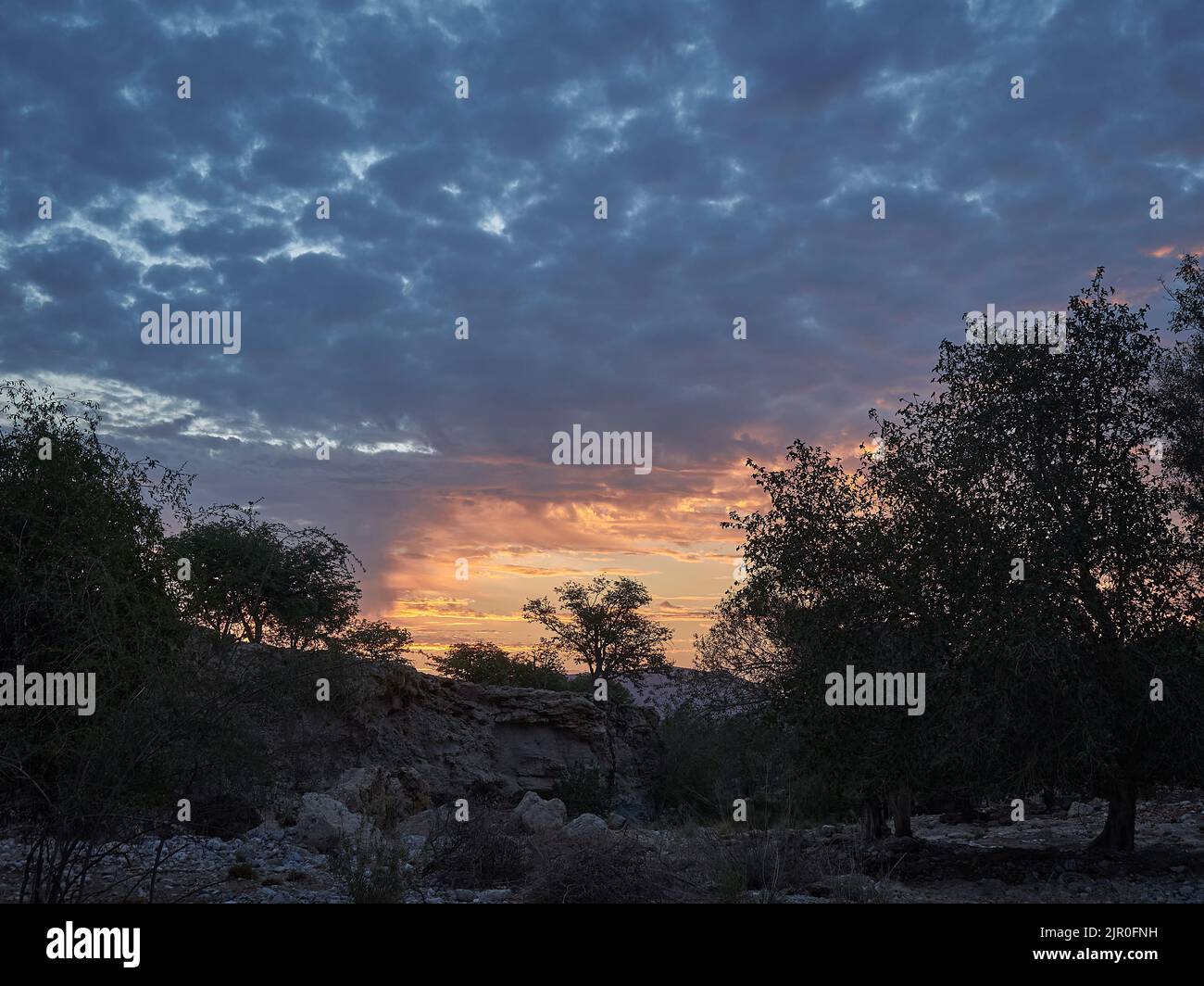 dramatic sunset with cloud covered sky over the african bush in Namibia ...