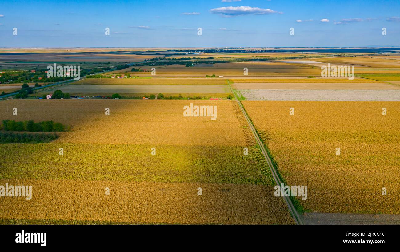 Seed corn plots hi-res stock photography and images - Alamy
