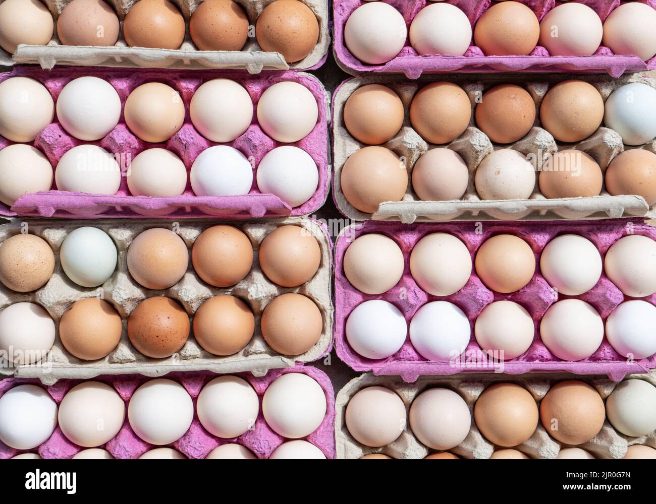 Open egg box with fresh organic colorful eggs in carton packs Stock ...
