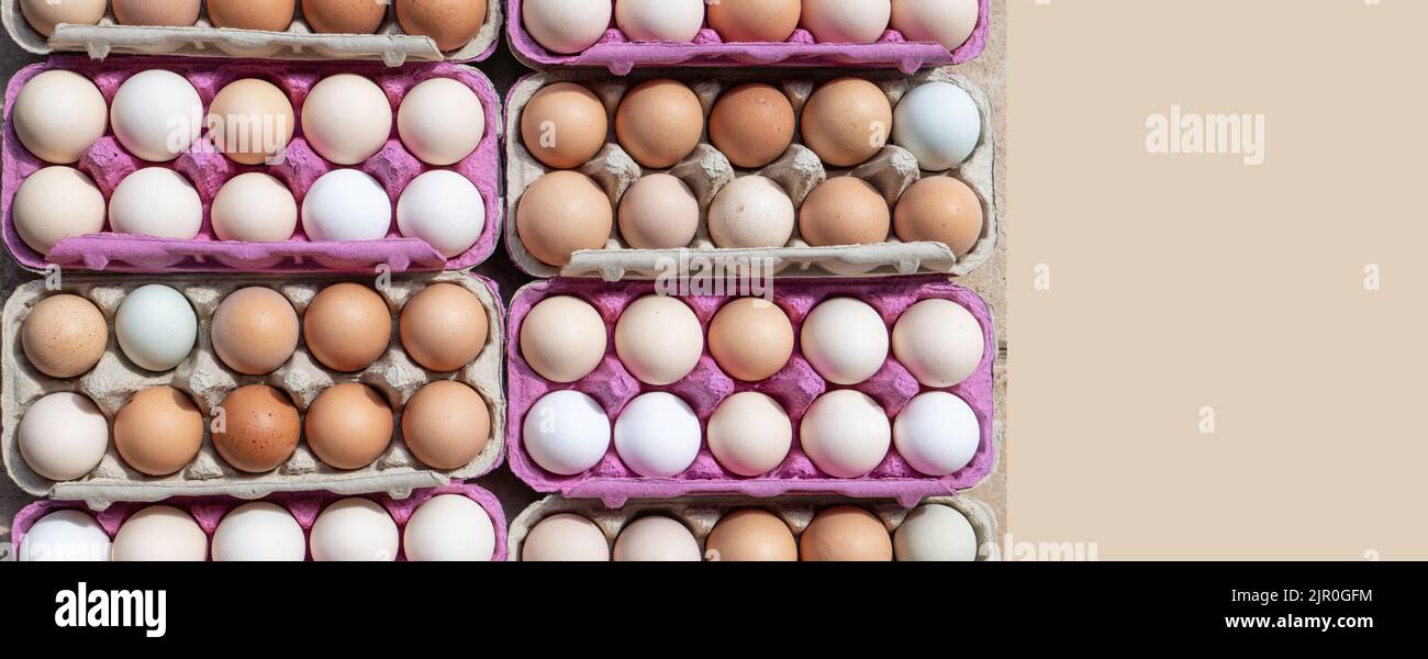 Open egg box with fresh organic colorful eggs in carton packs Stock ...