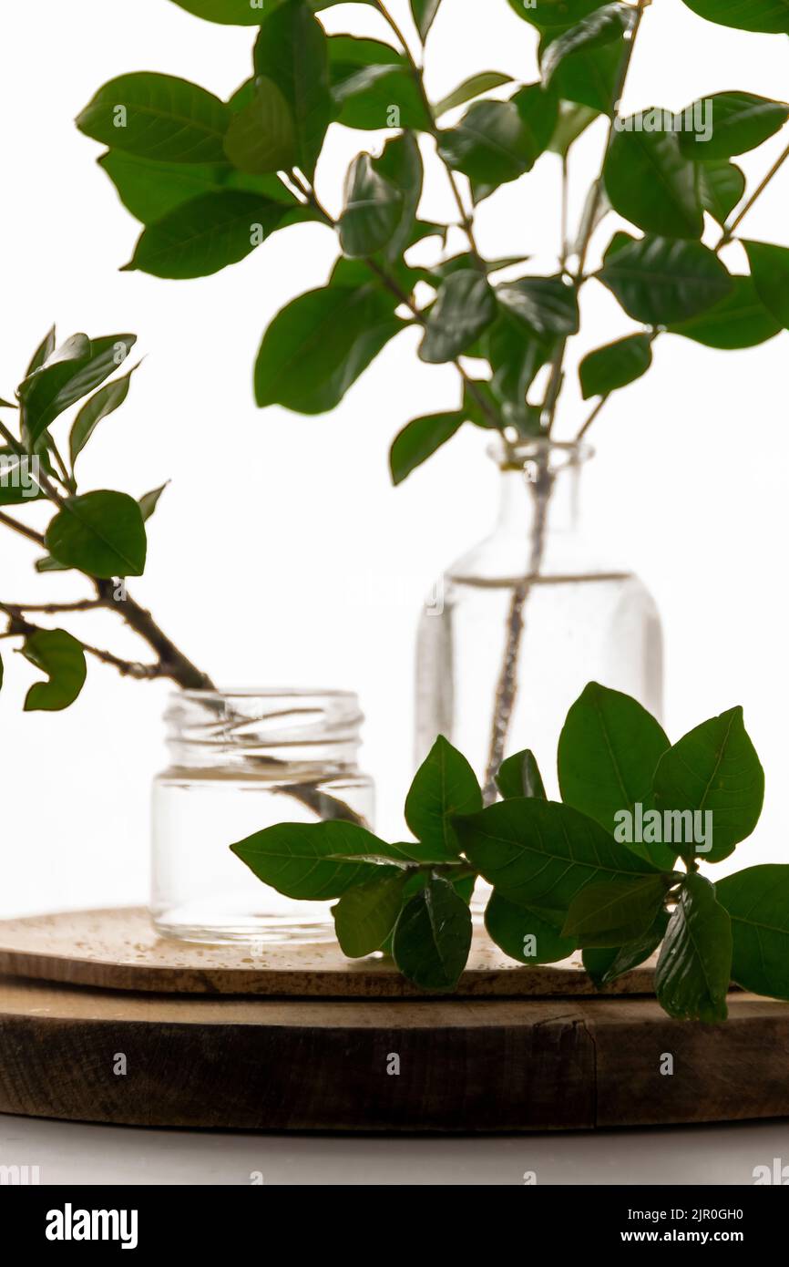 Rooting jar hi-res stock photography and images - Alamy