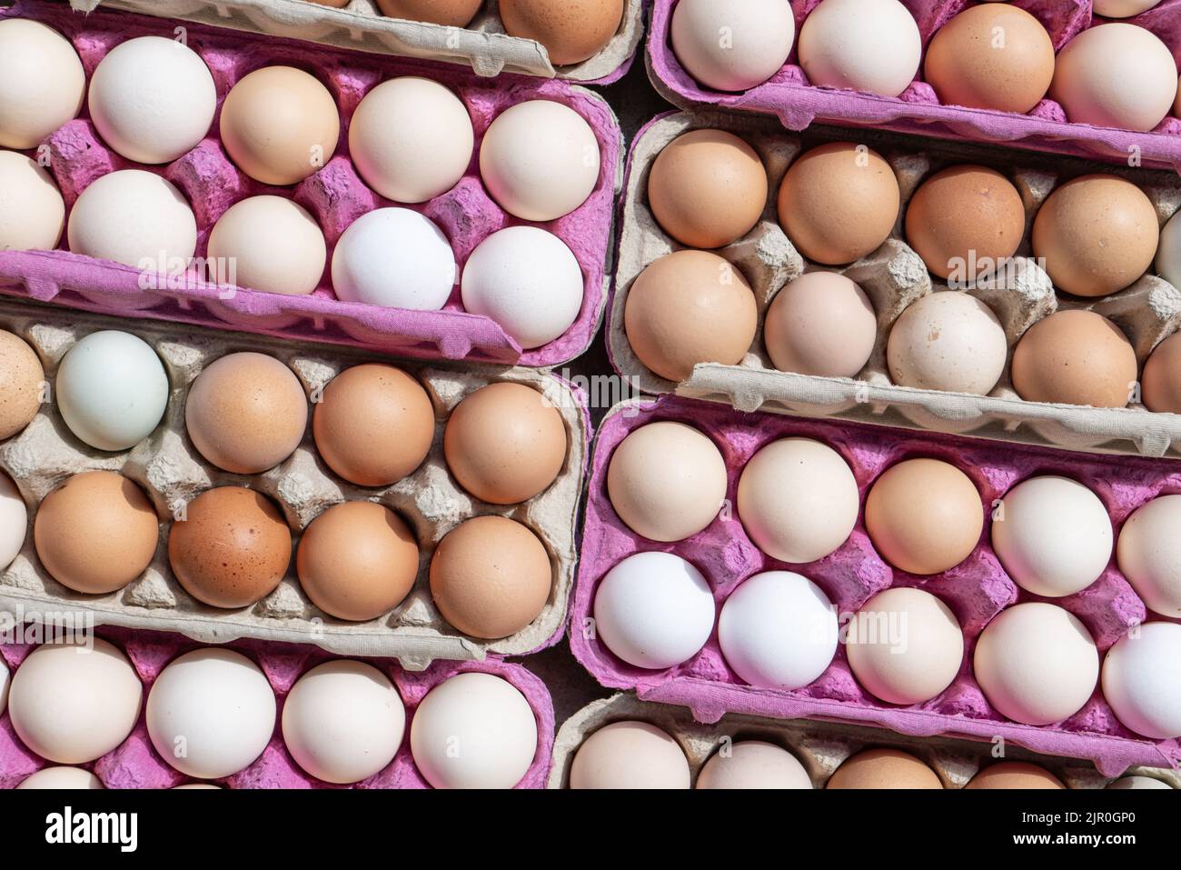 Open egg box with fresh organic colorful eggs in carton packs Stock ...