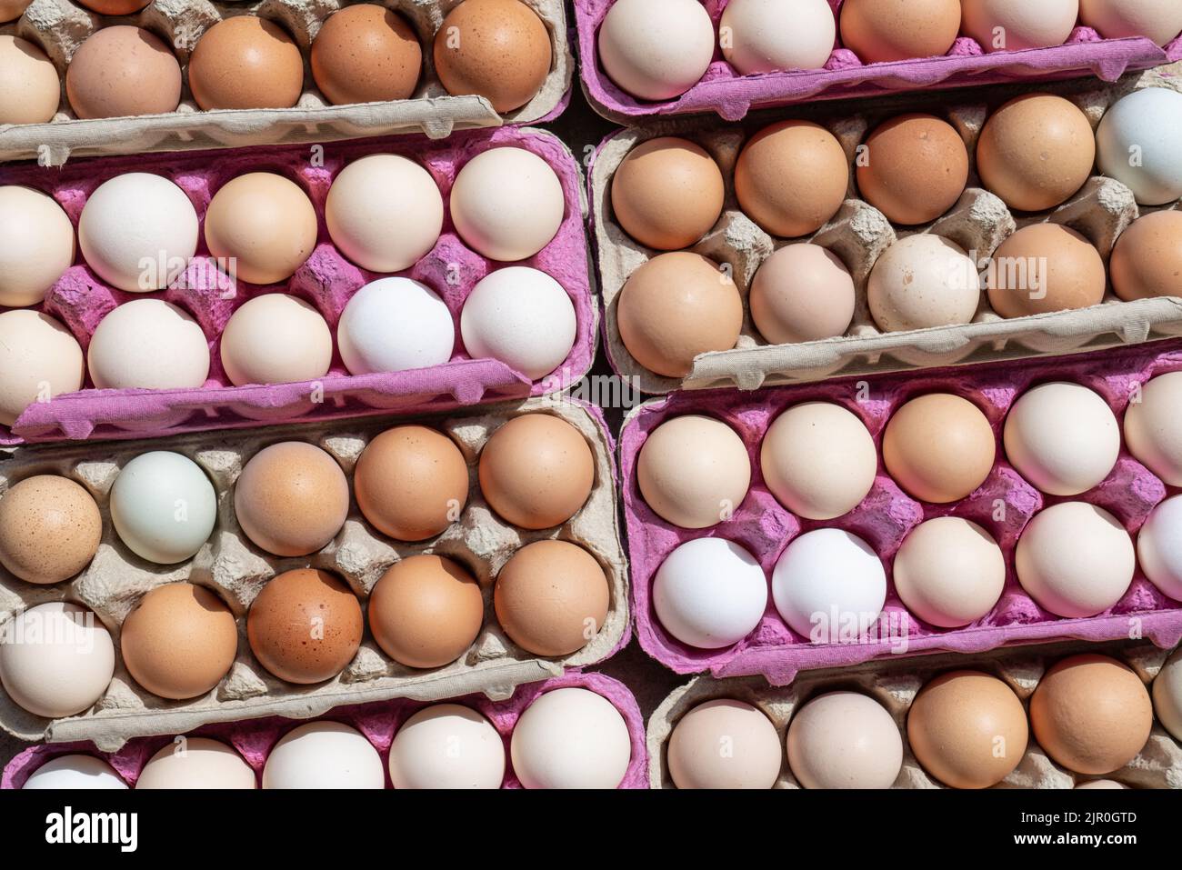 Open egg box with fresh organic colorful eggs in carton packs Stock ...