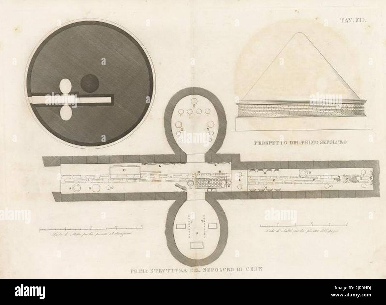 Regolini galassi hi-res stock photography and images - Alamy