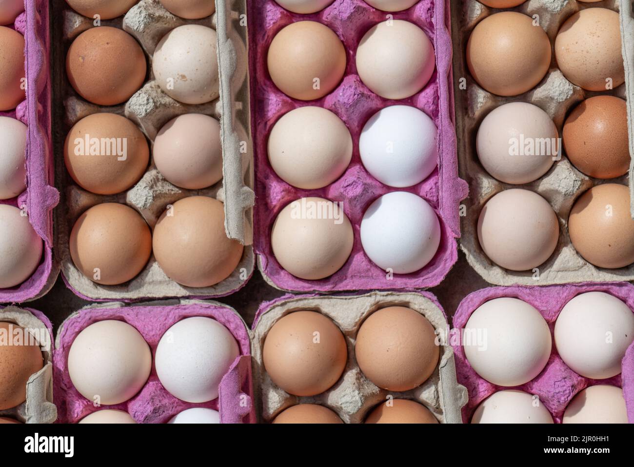 Open egg box with fresh organic colorful eggs in carton packs Stock ...