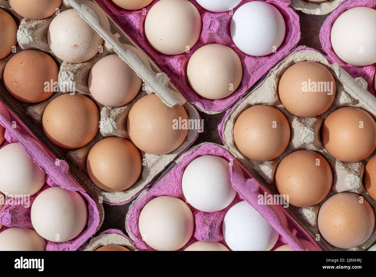 Open egg box with fresh organic colorful eggs in carton packs Stock ...
