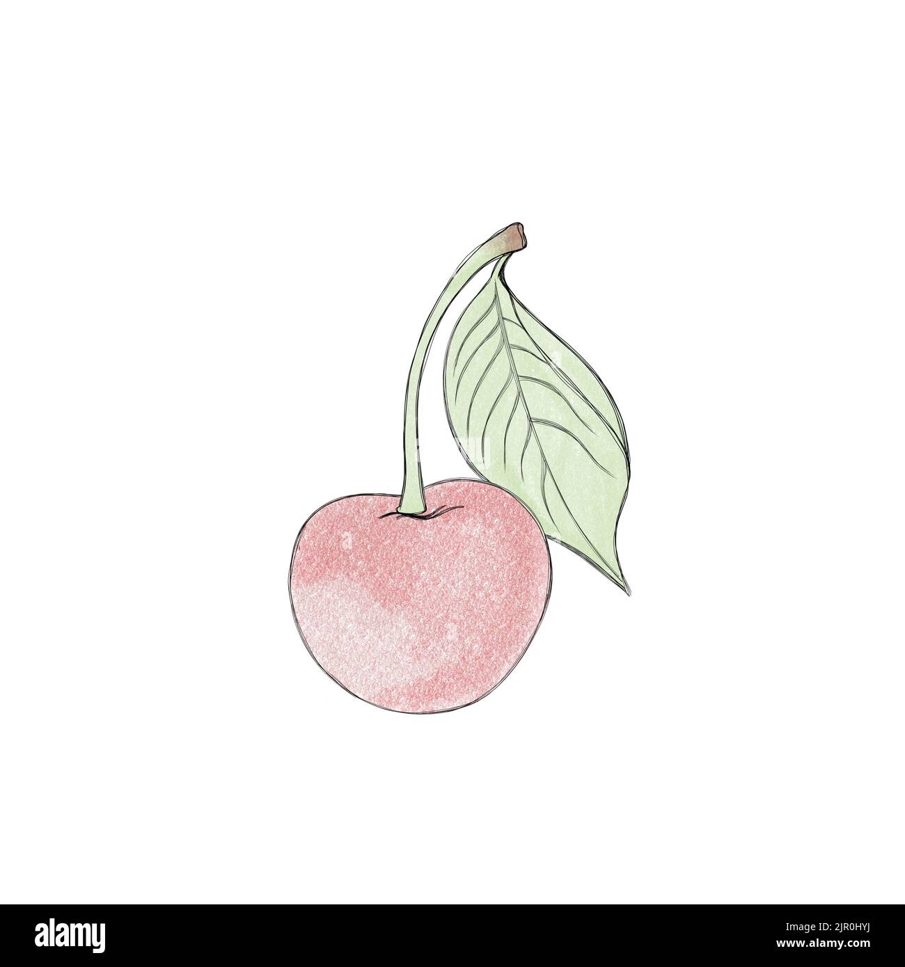 Juicy ripe cherries close-up watercolor drawing Stock Photo - Alamy